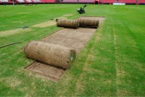 Step-wise putting green installation process