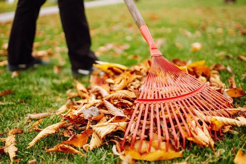 How to rake leaves efficiently and effortlessly?