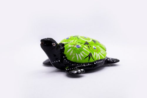 Vastu and Tortoise: Benefits and direction for placement