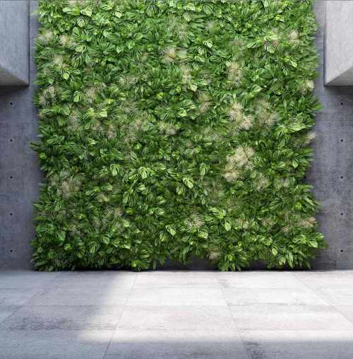 Tips for decorating with grass walls in your home
