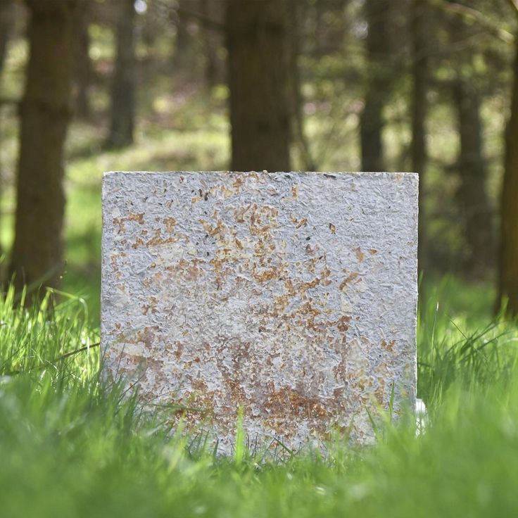 Top 7 sustainable alternatives to concrete