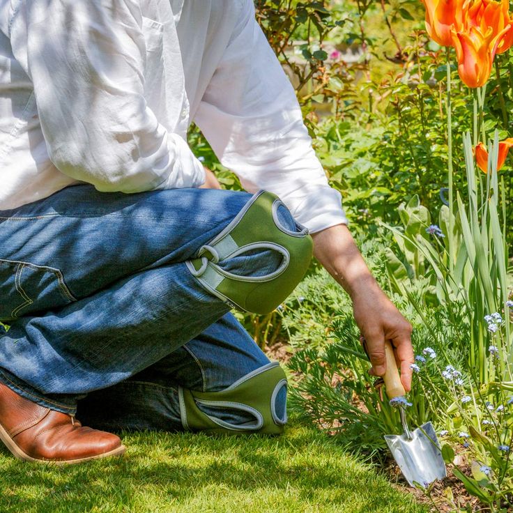12 essential gardening tools for beginners