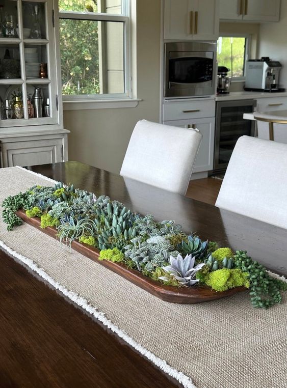 Accent decor ideas using plants