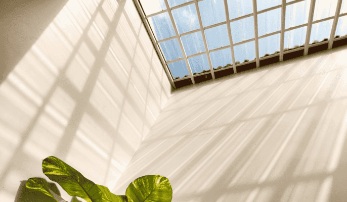 Top 6 trending sunroof ideas for homes